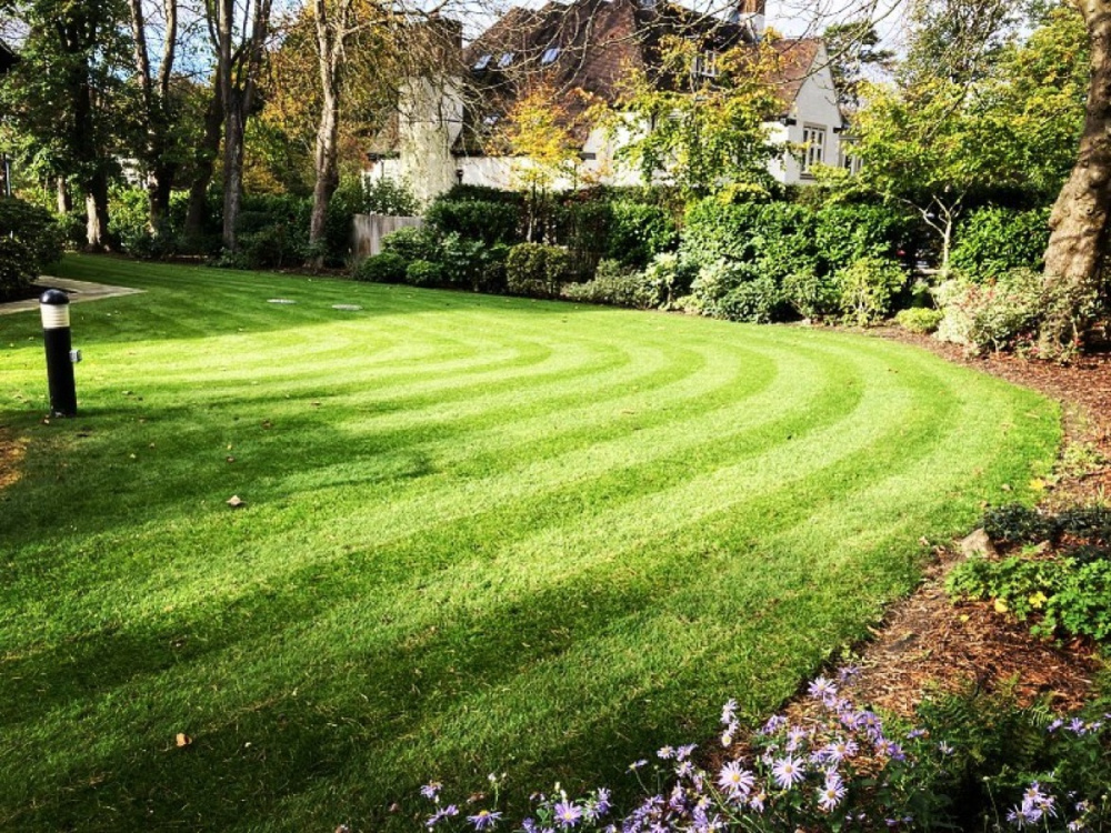 Siūlome darbą sodininkui-vairuotojui Pietų Londone, Mitcham CR4 ...