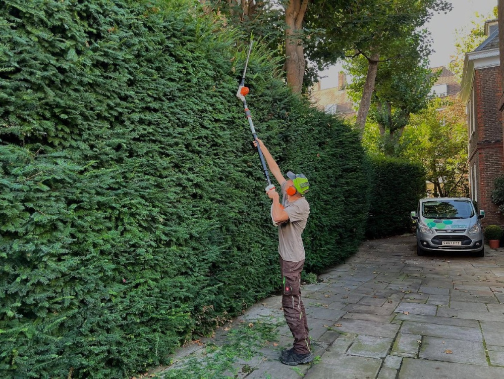 Siūlome darbą sodininkui-vairuotojui Pietų Londone, Mitcham CR4 ...